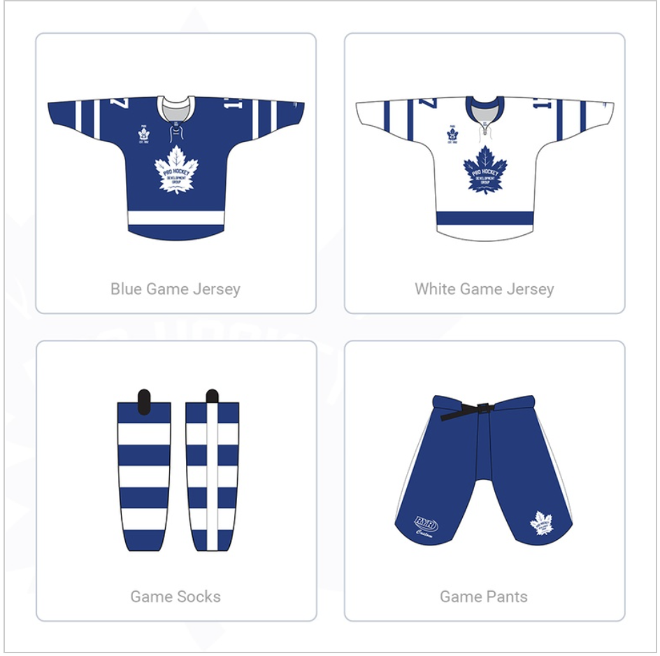 Pro Hockey Development Group : Website by RAMP InterActive